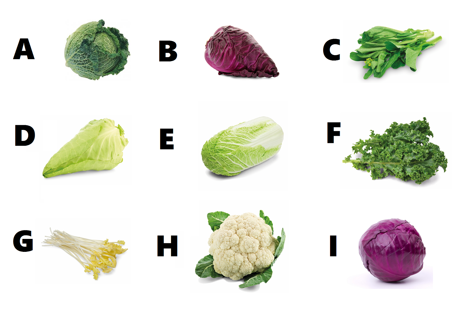 Veggipedia - QUIZ koolsoorten: hoeveel herken jij er?