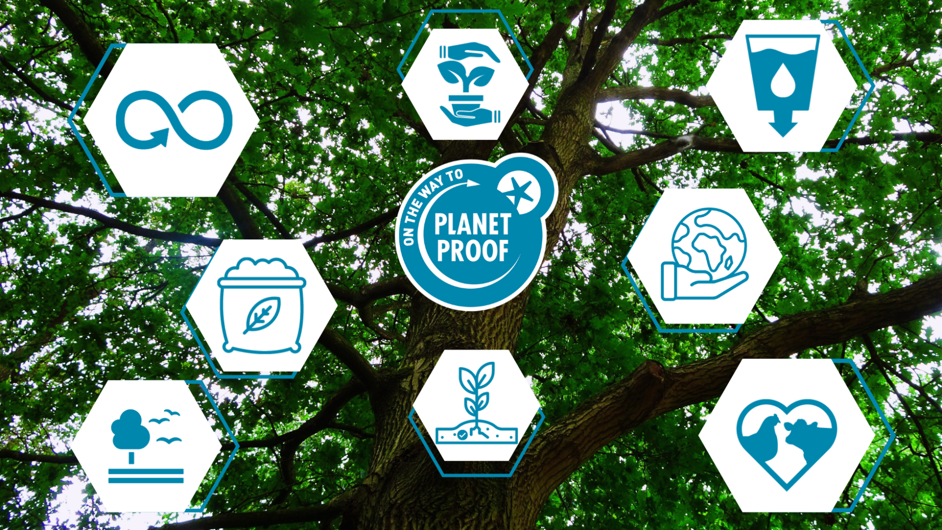Veggipedia - On the way to PlanetProof