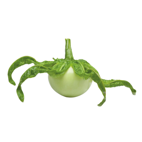 Veggipedia - Antroewa