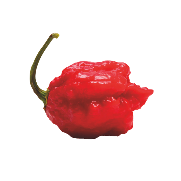 Veggipedia - Carolina Reaper peper