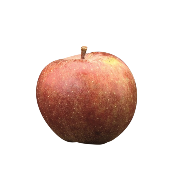 Veggipedia - Goudreinet appel
