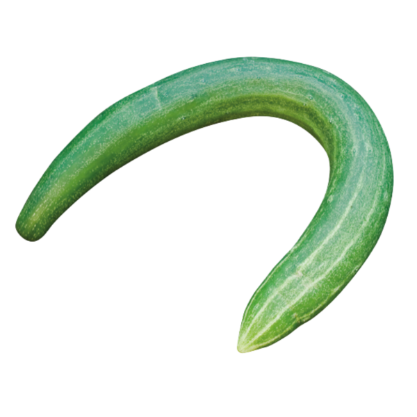 Veggipedia - Crooked cucumbers