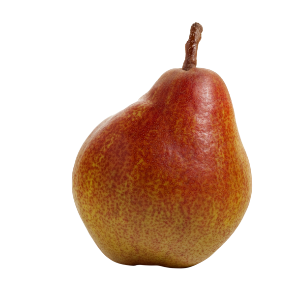Veggipedia - Sweet Sensation Pear
