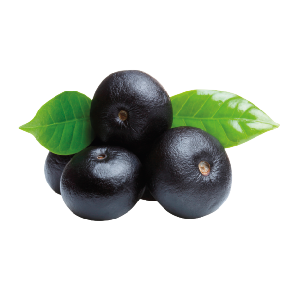 Veggipedia - Açai bes