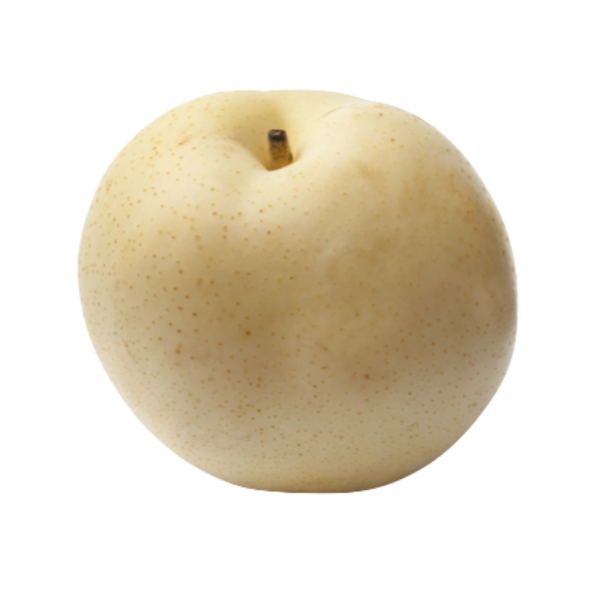 Veggipedia - Nashipeer